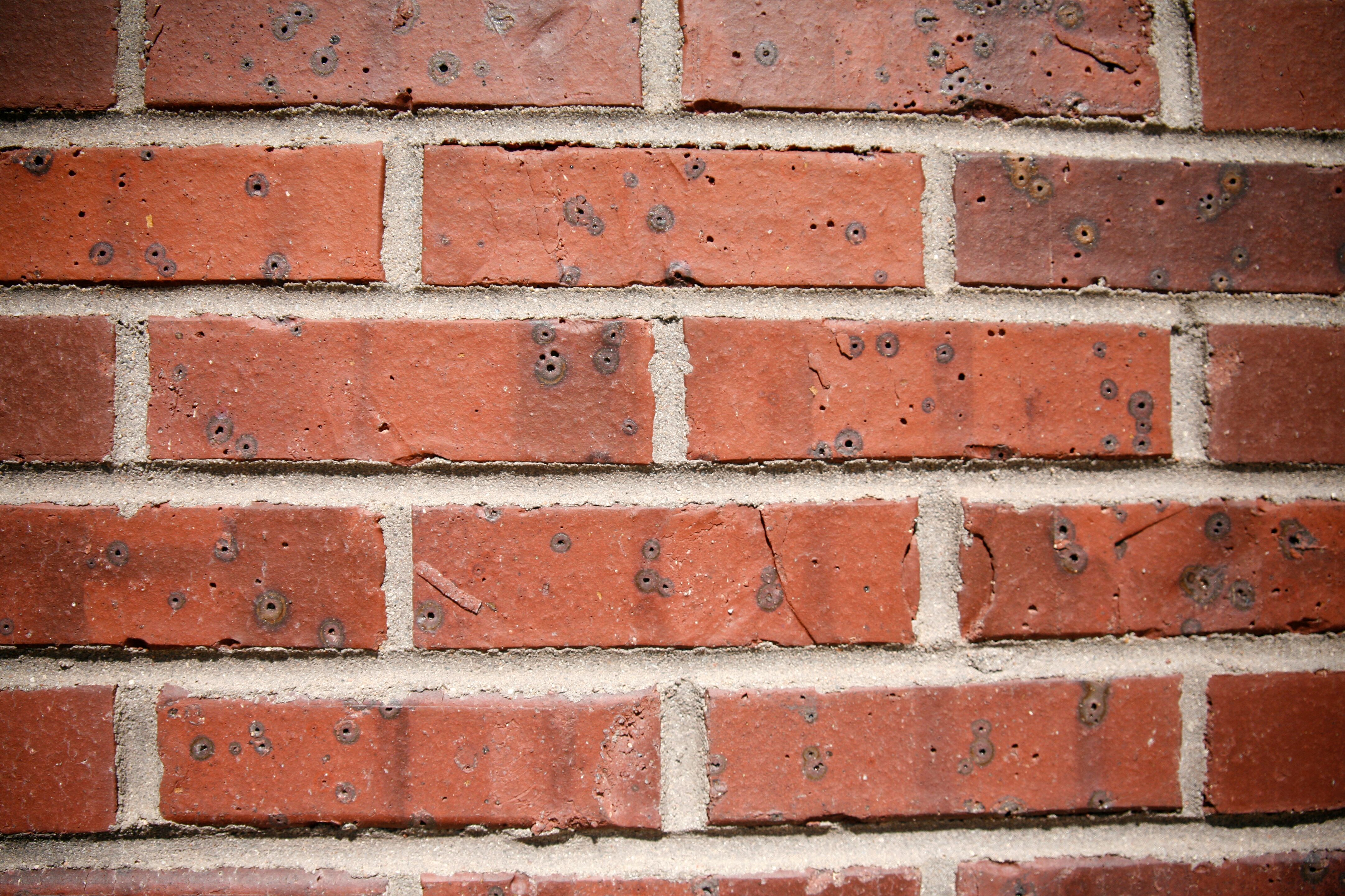 tamron.bricks | JoeFarace.com