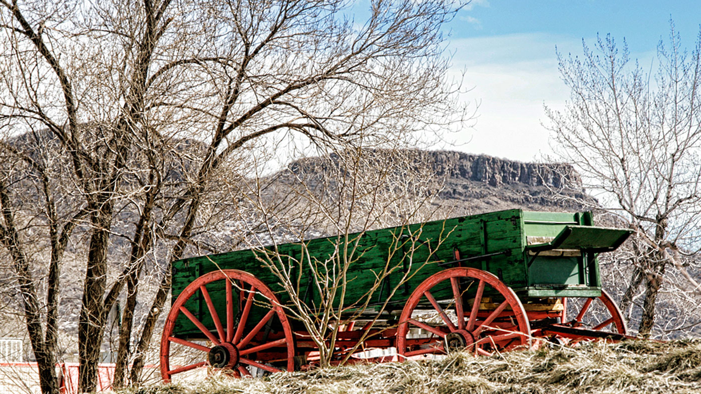 golden_wagon_fi | JoeFarace.com
